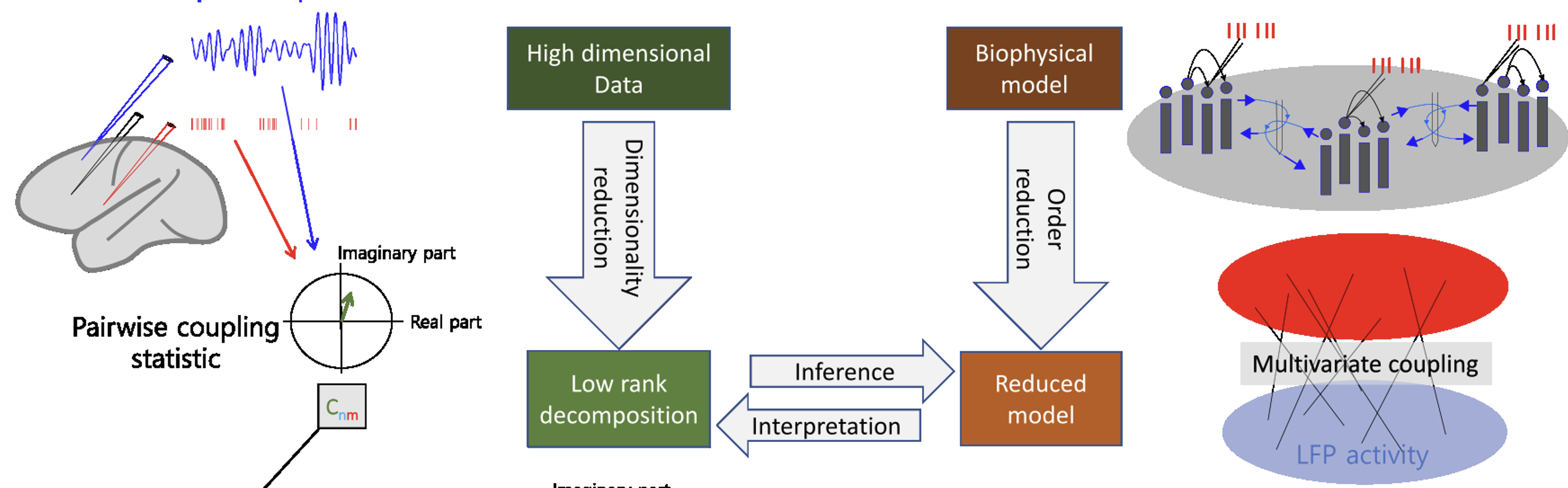 Uncovering the organization of neural circuits with Generalized Phase ...